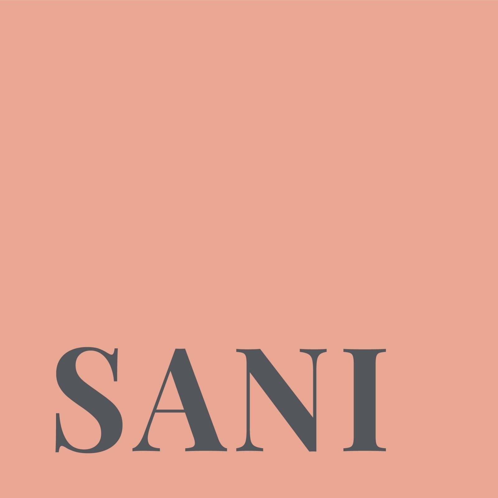 יזמות למגורים במרכזים אורבניים - SANI